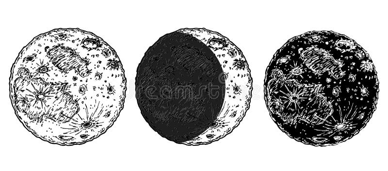 Moon Phases. Sketch Hand Drawn Vector Illustration Stock Vector ...