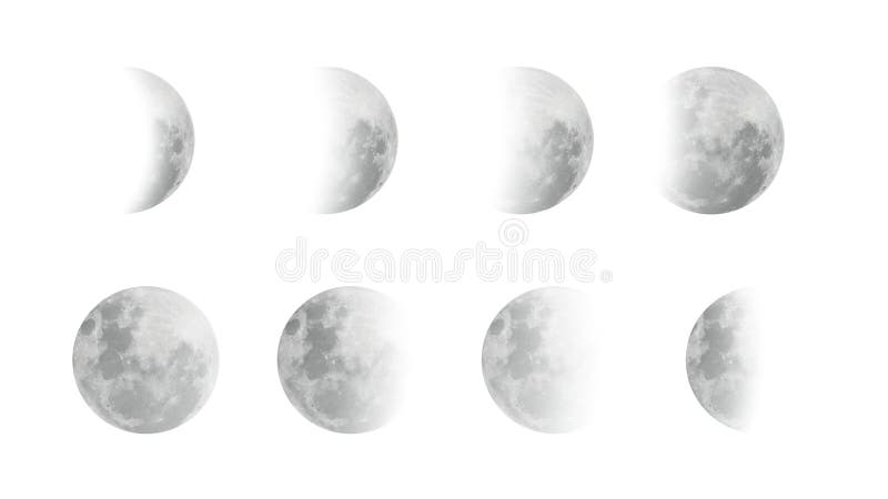 Moon Phases Vector Design Set. Realistic Moon Cycle Icons Stock Vector ...