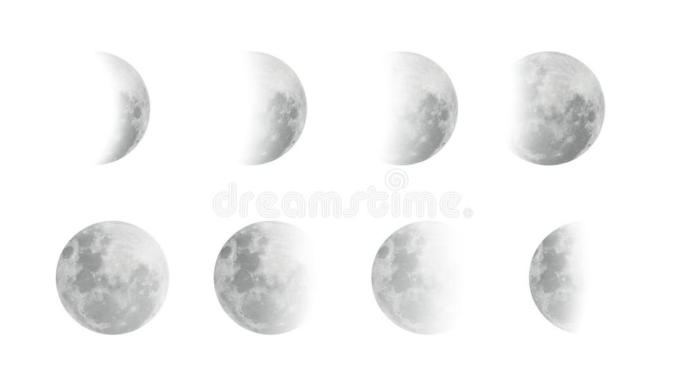 Moon Phases Vector Design Set. Realistic Moon Cycle Icons Stock Vector ...