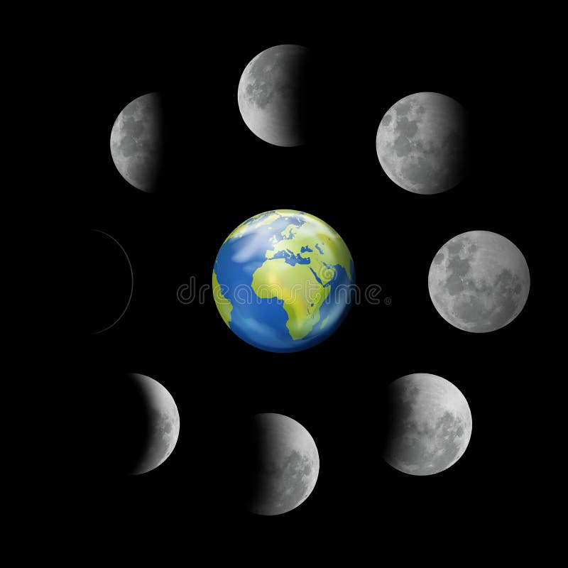 Moon Phases Vector Design Set. Realistic Moon Cycle Icons Stock ...