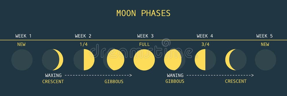 Moon Phases stock vector. Illustration of earth, lunar - 36420210
