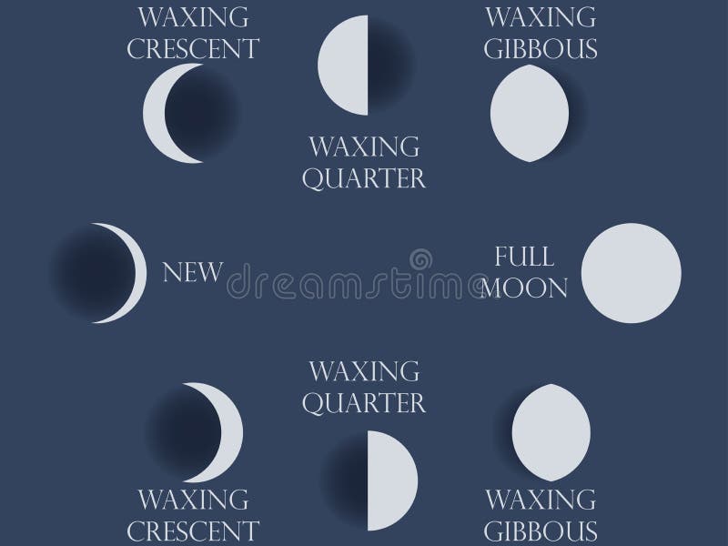 Moon Phases. the Whole Cycle from New Moon To Full Stock Vector ...