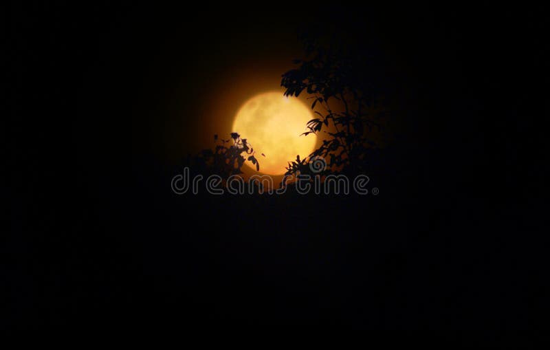 Moon plays pick a boo stock photo. Image of sunlight - 269755950