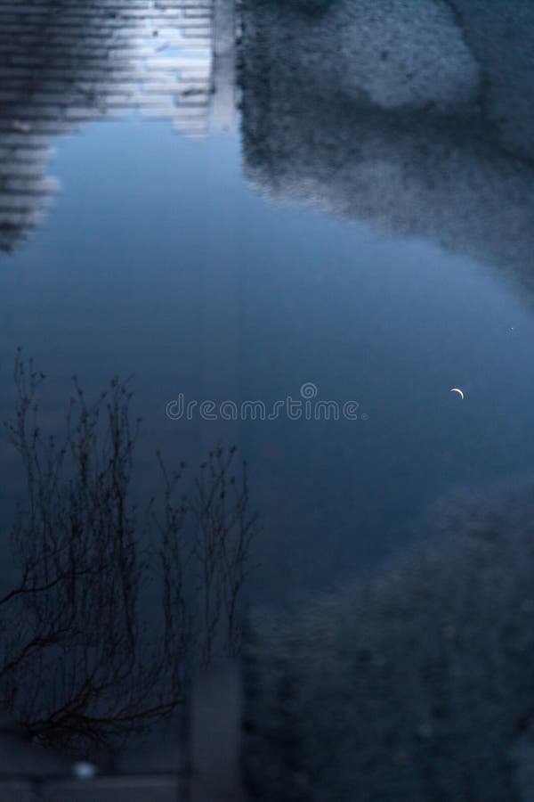Moon in the puddle stock photo. Image of freezing, wave - 275225552