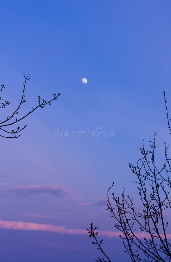 Purple Sky stock photo. Image of dusk, copy, colors - 108928288