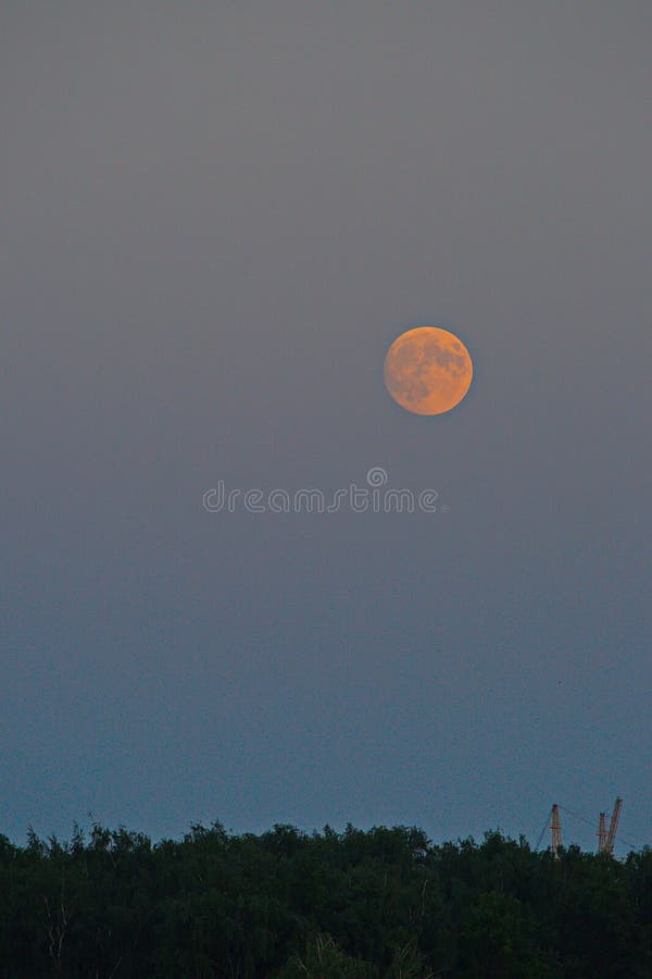 The Moon in the Rays of the Setting Sun on a Summer Evening. Stock ...