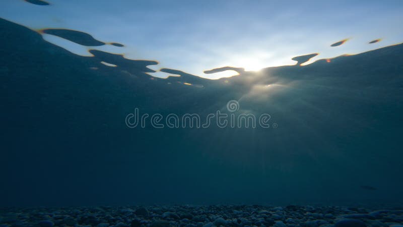 Sun Reflection Underwater in the Ocean Stock Video - Video of undersea ...