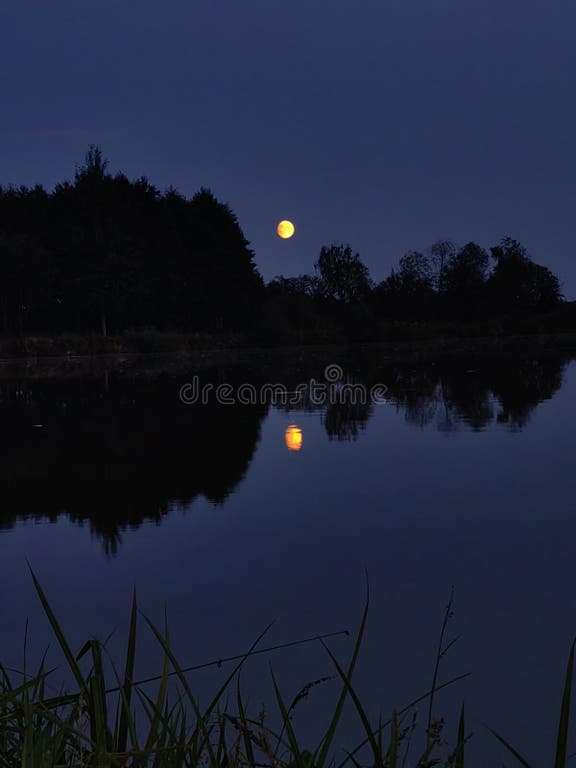 Moon Reflection in Water. Full Moon Stock Photo - Image of horizon ...