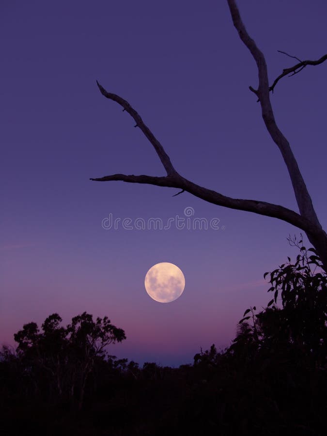 Moon Rise stock image. Image of scenic, serene, purple, barren - 95117