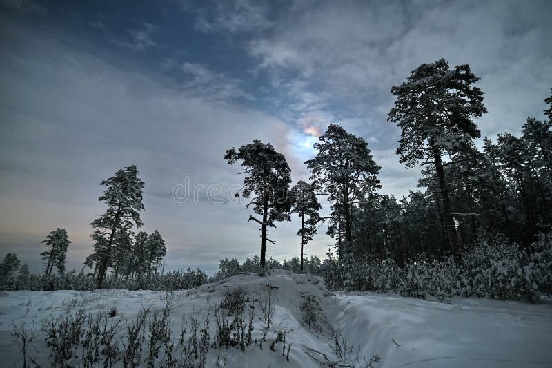 Moon rise over forest stock image. Image of moon, night - 58660727