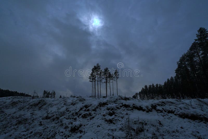 Moon rise over forest stock image. Image of moon, night - 58660727