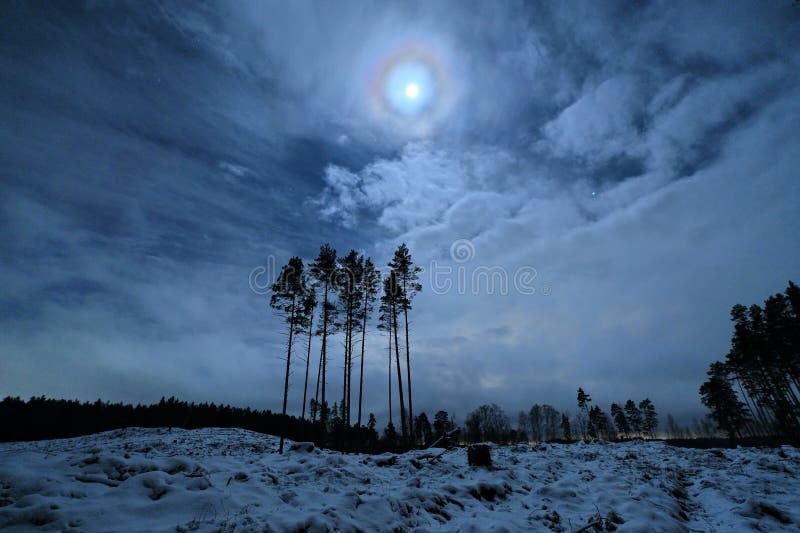 Moon rise over forest stock image. Image of moon, night - 58660727