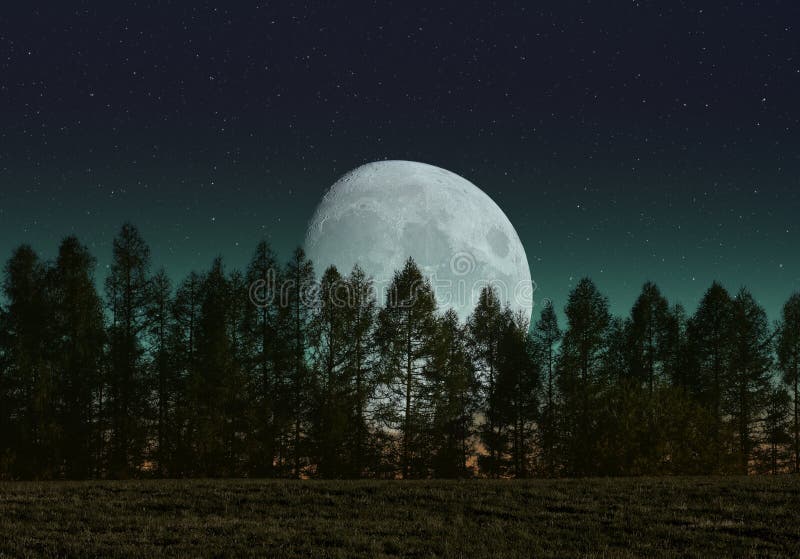 Moon rises stock photo. Image of bright, midnight, background - 169021732