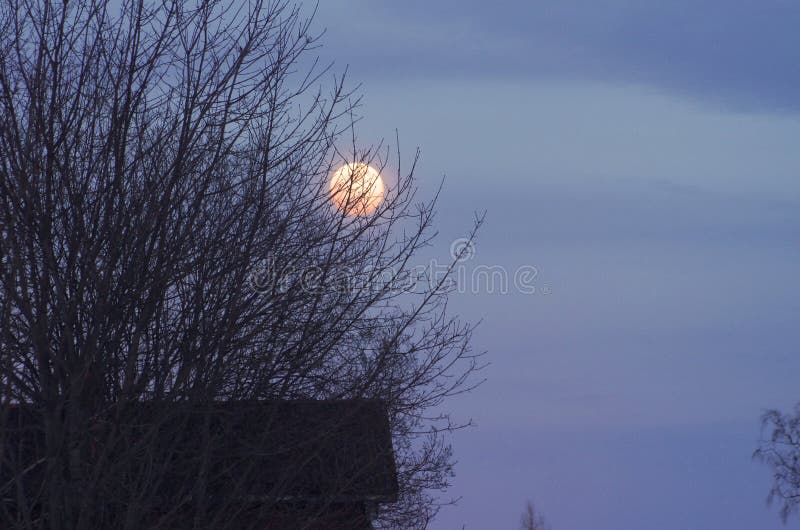 The moon is rising early stock image. Image of shortly - 143230177