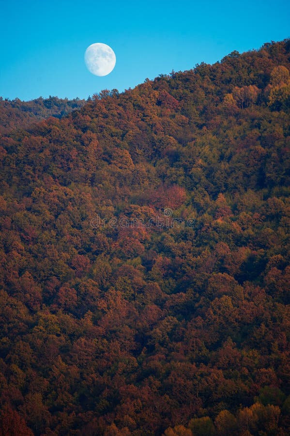 Moon rising stock image. Image of land, beech, alley - 91104349