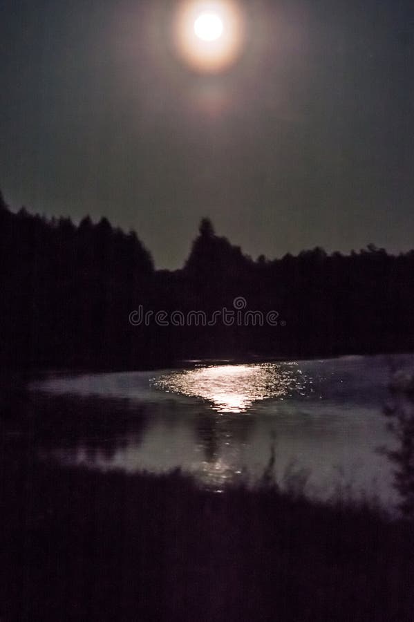 Moon Rising Over the Lake in the Forest. Reflection in Water Stock ...