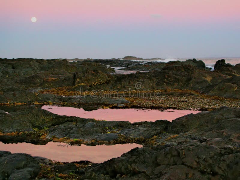 Full Moon Rising Over Rockpools, with Pink Sunset Reflecting in the ...