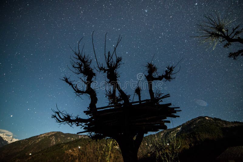 Moon is Rising Over Tree in Himalayas Stock Photo - Image of house ...
