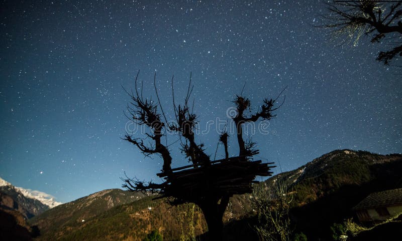 Moon is Rising Over Tree in Himalayas Stock Photo - Image of morning ...