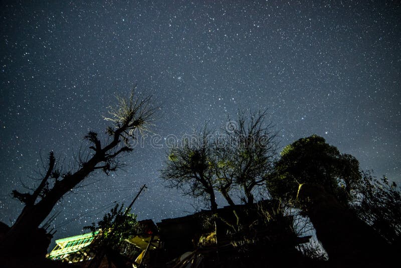 Moon is Rising Over Tree in Himalayas Stock Image - Image of kinnaur ...