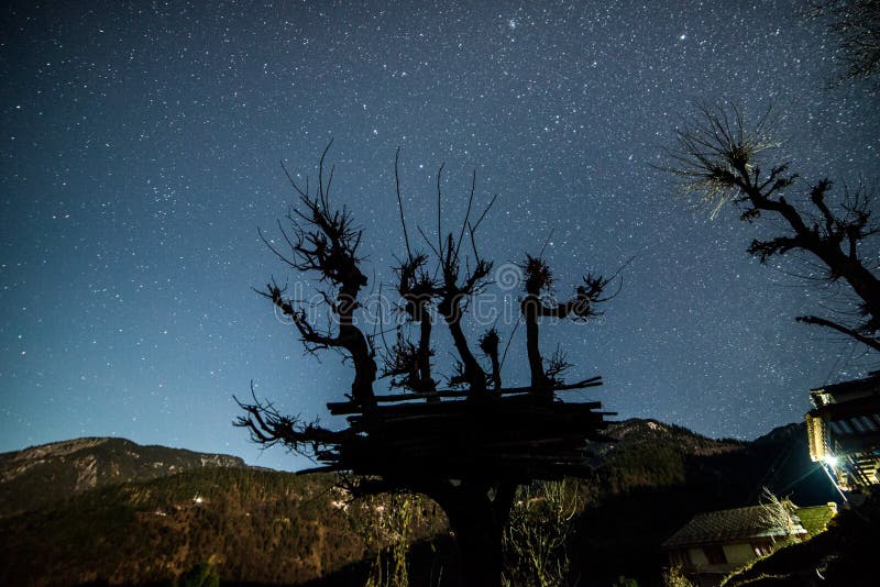 Moon is Rising Over Tree in Himalayas Stock Image - Image of celestial ...