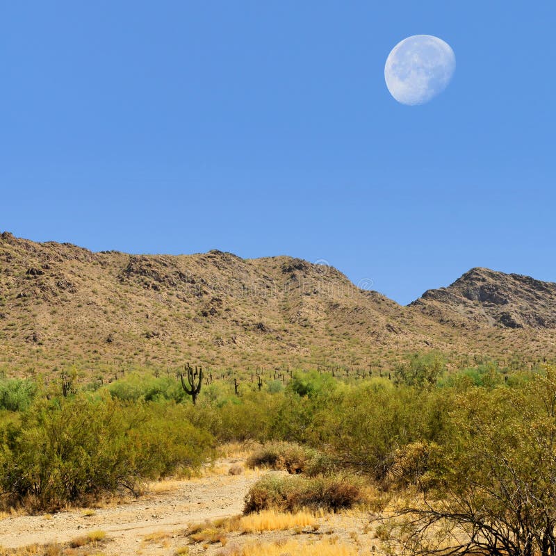Moon Rising San Tan Mountains Sonora Desert Arizona Stock Photo - Image ...