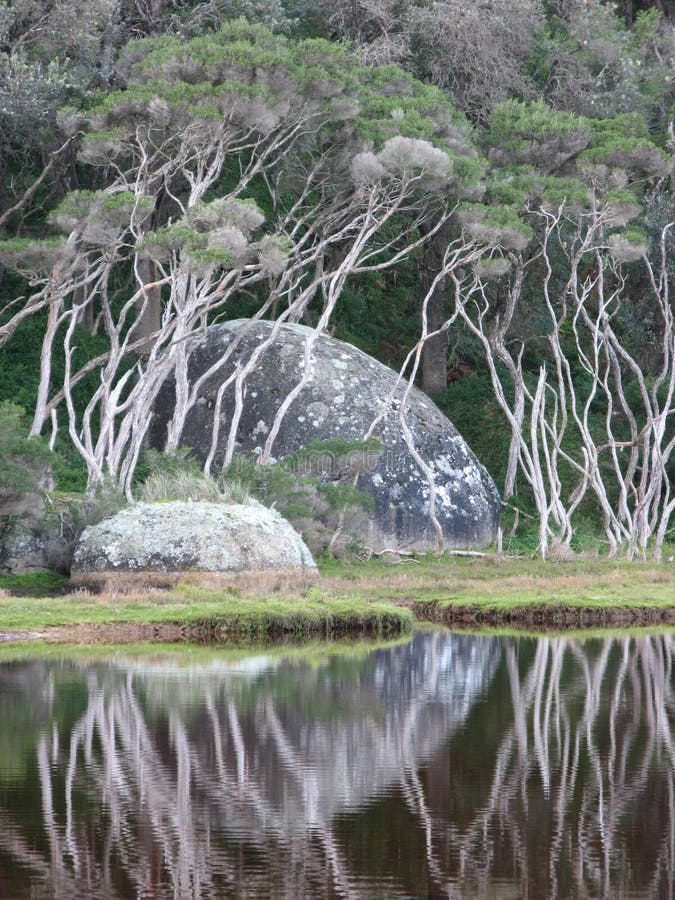 Moon Rock stock image. Image of reflection, vacation, green - 6483045