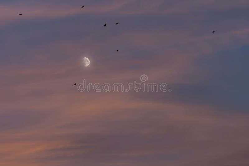 The Moon on a Romantic Blue Hour Right after a Marvelous Sunset Stock ...