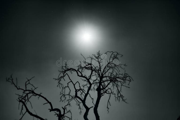 Moon stock image. Image of rain, nice, scary, like, shot - 57440671