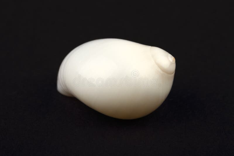 198 Philippines Moon Stock Photos - Free & Royalty-Free Stock Photos ...