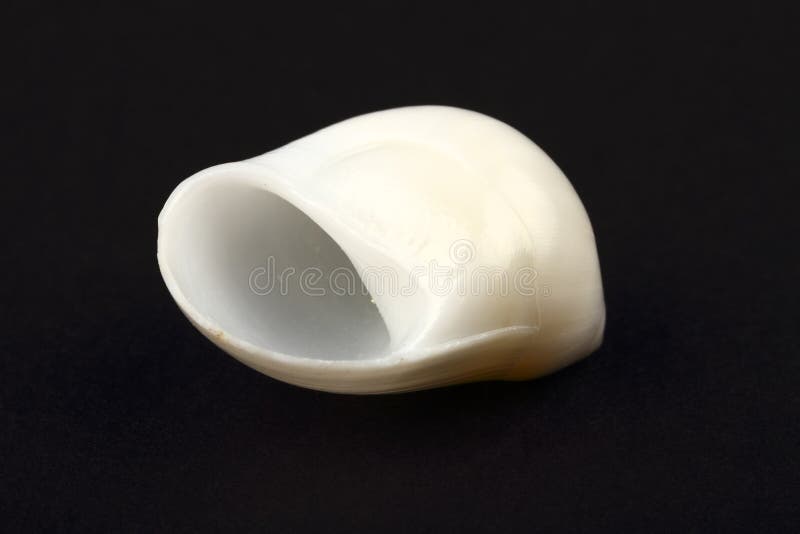 198 Philippines Moon Stock Photos - Free & Royalty-Free Stock Photos ...