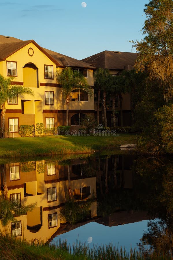 Moon rise in the evening stock image. Image of nature - 203753369