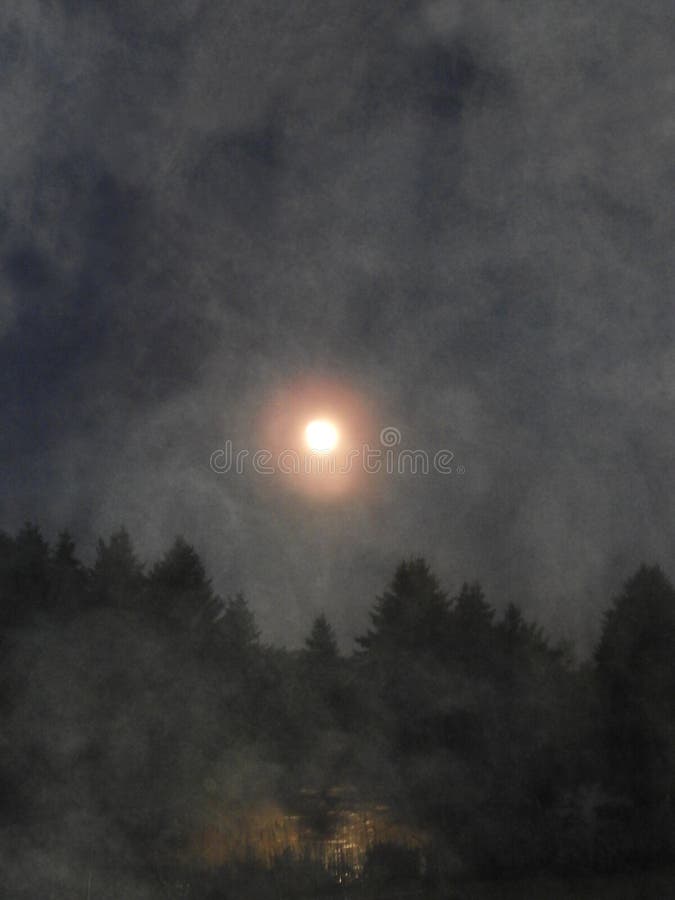 Moon Reflected Over Fog Covered Country Pond Stock Image - Image of ...