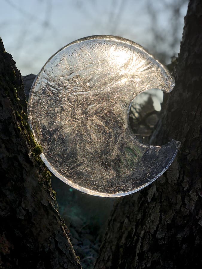 Moon shape stock photo. Image of solid, winter, moon - 223004532