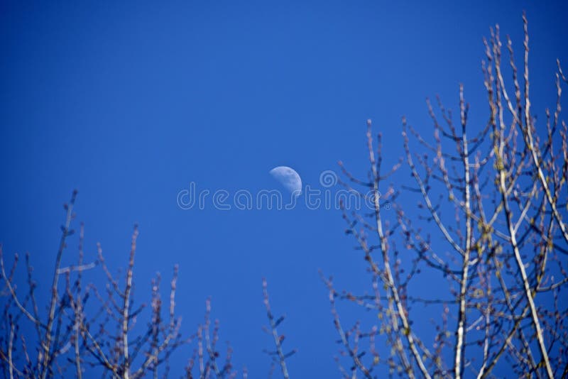 Moon Sharp stock image. Image of system, lunar, milky - 90588251
