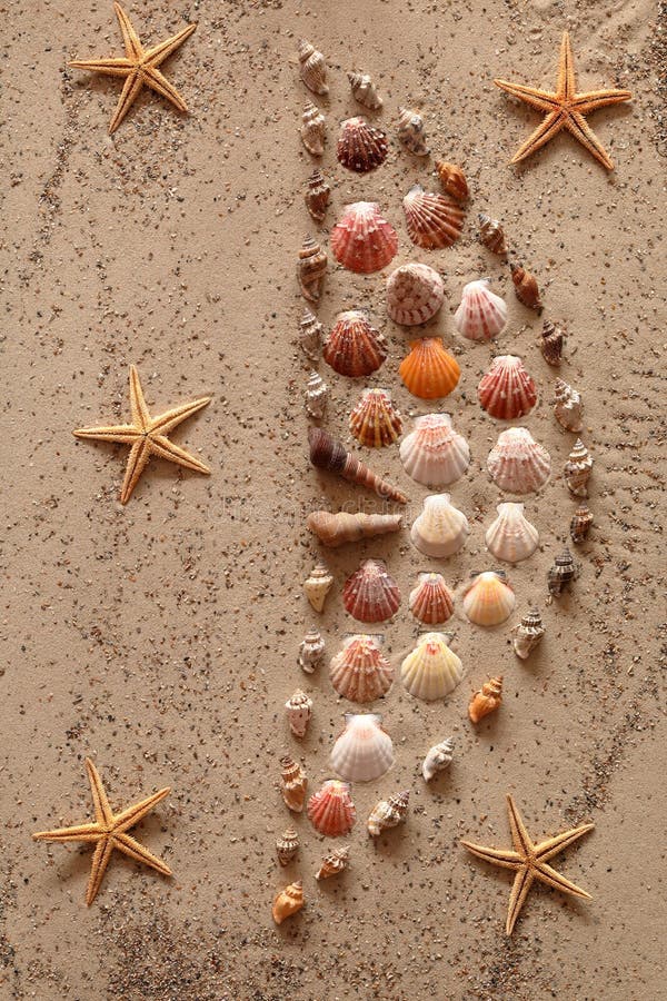 The moon of shells stock photo. Image of shells, star - 88291594
