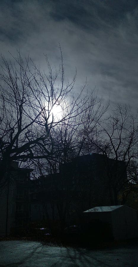 The Moon Shines Its Own Light Stock Image - Image of snow, winter ...