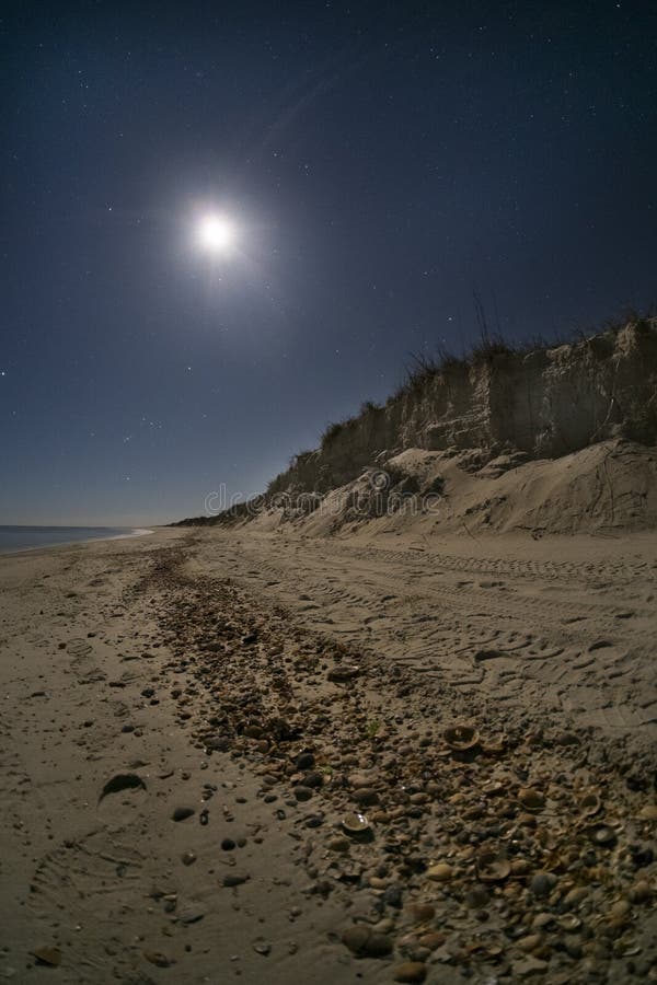 Moonlit Beach stock image. Image of evening, dark, night - 30088047