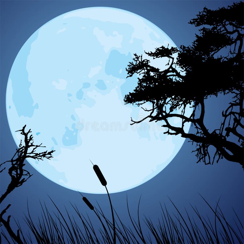 Moon and Silhouettes of Tree Branches Stock Vector - Illustration of ...