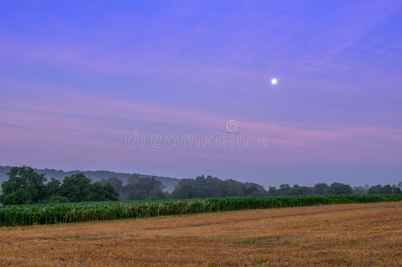Moon in the Sky Above Fields Stock Photo - Image of cornfield, farming ...