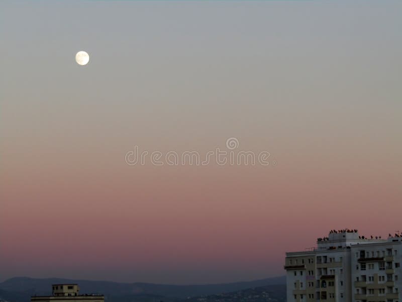Moon in the sky stock photo. Image of full, beauty, field - 125200724
