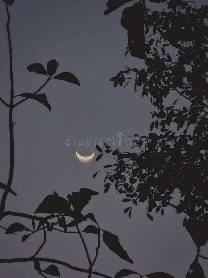 The Moon Smiled at the Dark Shadow. Stock Photo - Image of moon, dark ...
