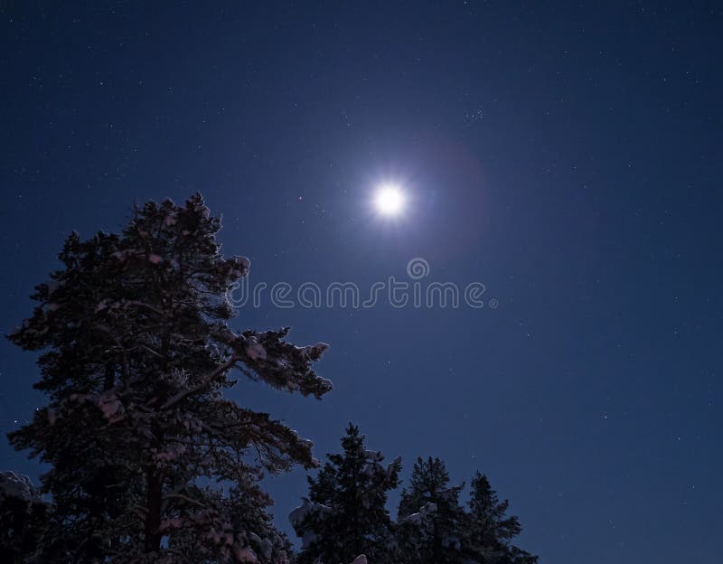 Moon and Snow on Tree stock image. Image of finland - 175232279
