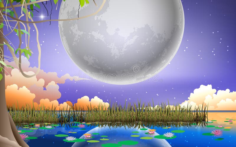 1,564 Swamp Moon Stock Photos - Free & Royalty-Free Stock Photos from ...