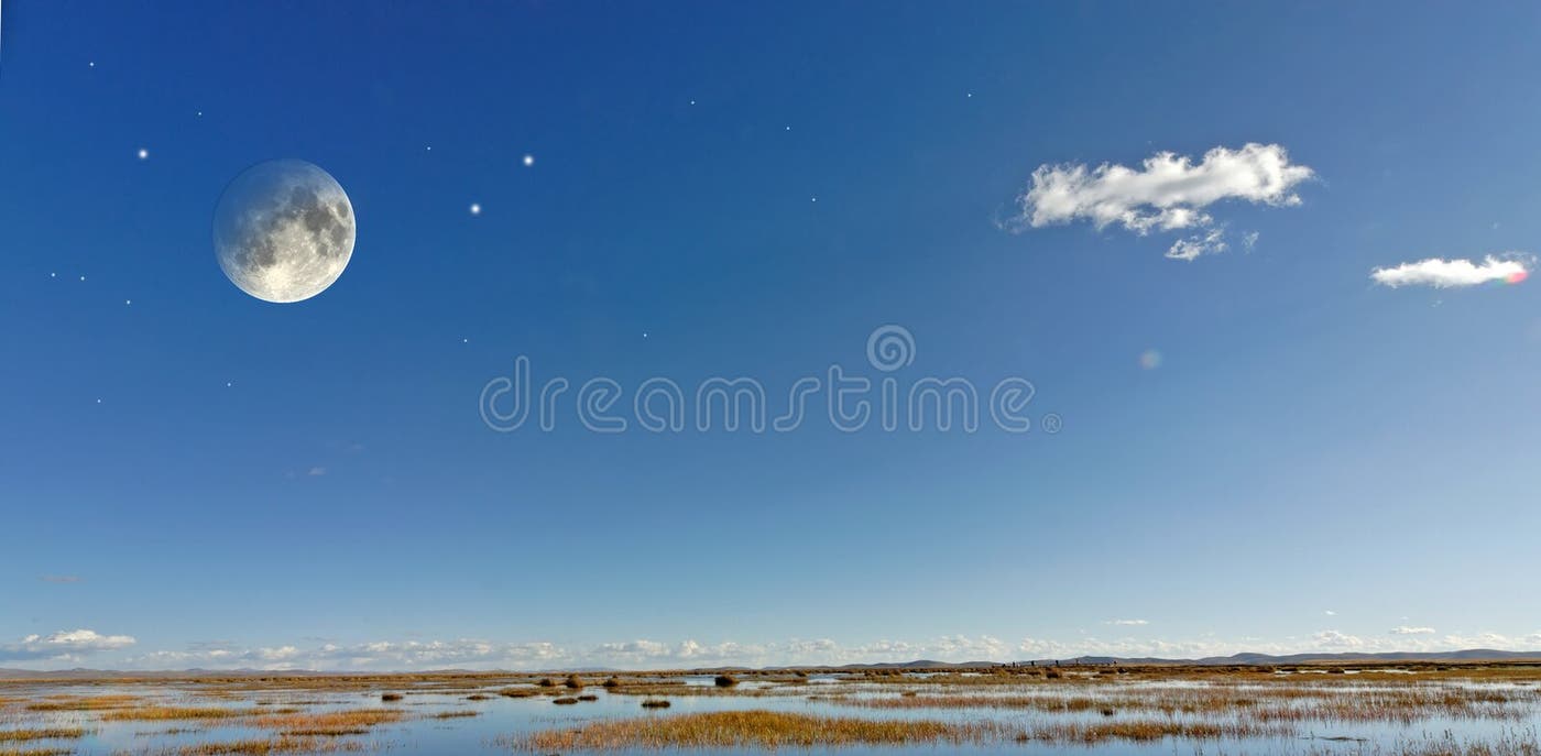 1,564 Swamp Moon Stock Photos - Free & Royalty-Free Stock Photos from ...