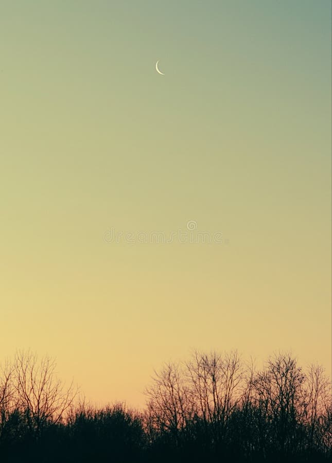 Moon during sunrise stock image. Image of evening, sunrise - 240630263