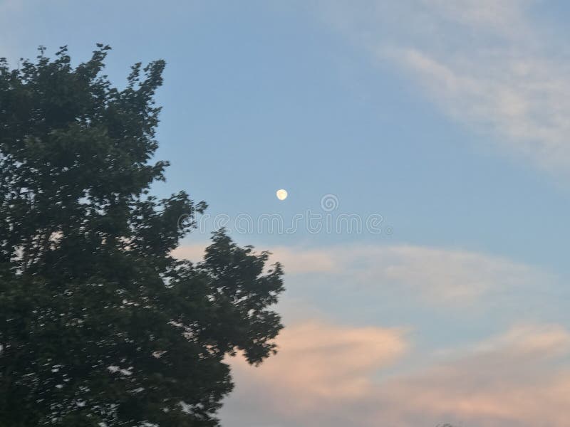 Moon in the sunset stock image. Image of view, tree, clouds - 99787847