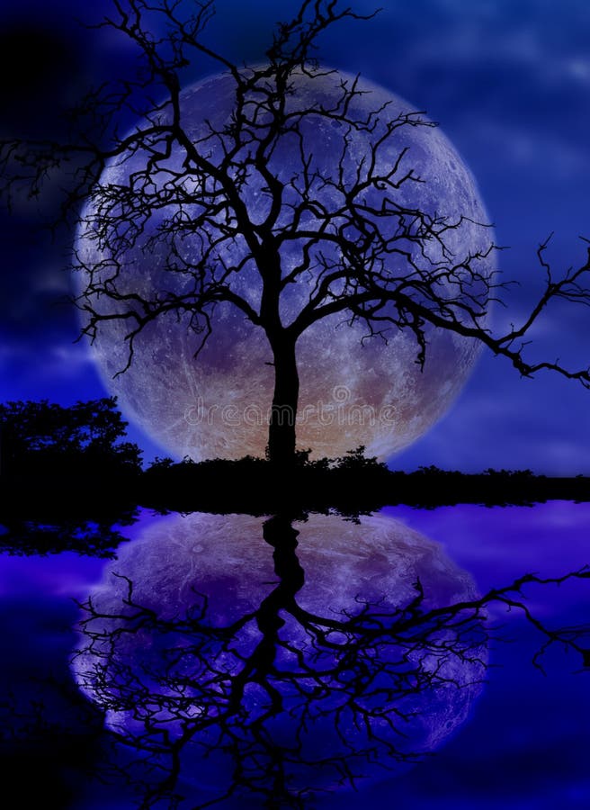 Calm Tree Stock Illustrations – 22,301 Calm Tree Stock Illustrations ...