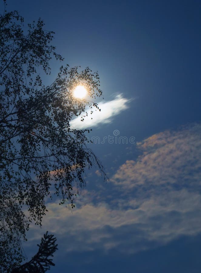 Moon,tree,sky and clouds. stock photo. Image of moonlight - 78994942