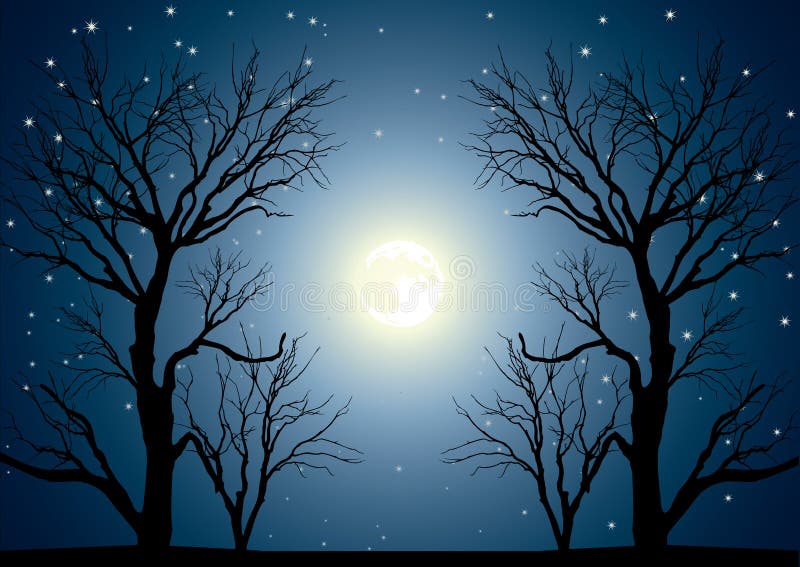 Moon trees stock vector. Illustration of dark, branches - 2757751